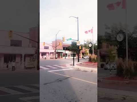 Fall π¨π¦ #fall #season #canada #ontario #winter #summer #viral #trending #brampton #downtown #wow