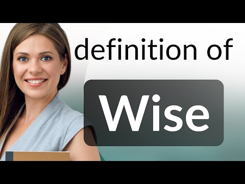 Wise — definition of WISE