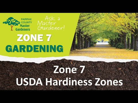 Zone 7 Hardiness