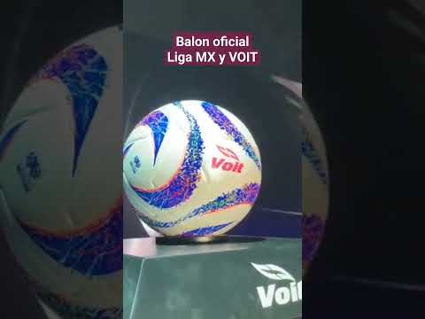balón oficial Voit y Mx