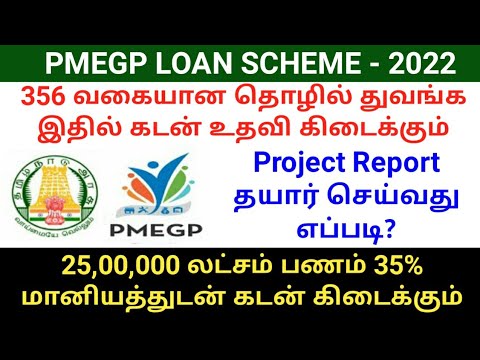 PMEGP Loan Scheme Eligible Business 2022 | PMEGP loan project report | PMEGP loan apply online