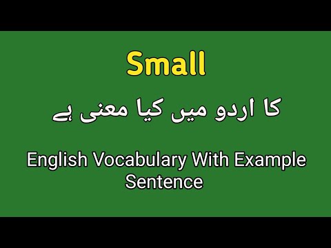 Small meaning in Urdu | small meaning in Urdu/English | small ka Matlab Kia HOTA hai