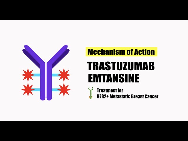 Stomach Cancer - Ujvira 160mg, Trastuzumab Emtansine Injection ...