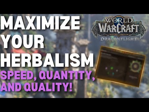 Dragonflight | BEST Herbalism GUIDE | SO MANY HERBS
