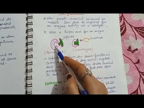 Enzyme Cofactors/coenzyme vs cofactor/ prosthetic group#enzymes #coenzyme#biology