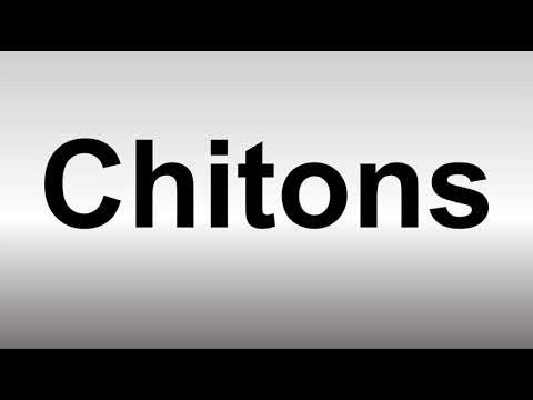 How to Pronounce Chitons