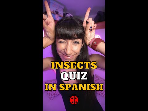Insects quiz in Spanish #shorts