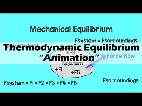 THERMODYNAMIC EQUILIBRIUM | Animation
