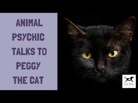 Animal Psychic Talks To Peggy The Cat | Susie Shiner | Animal Communicator