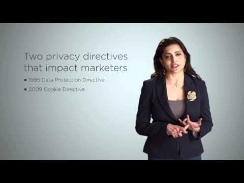 Data Privacy Protection Laws in the EU