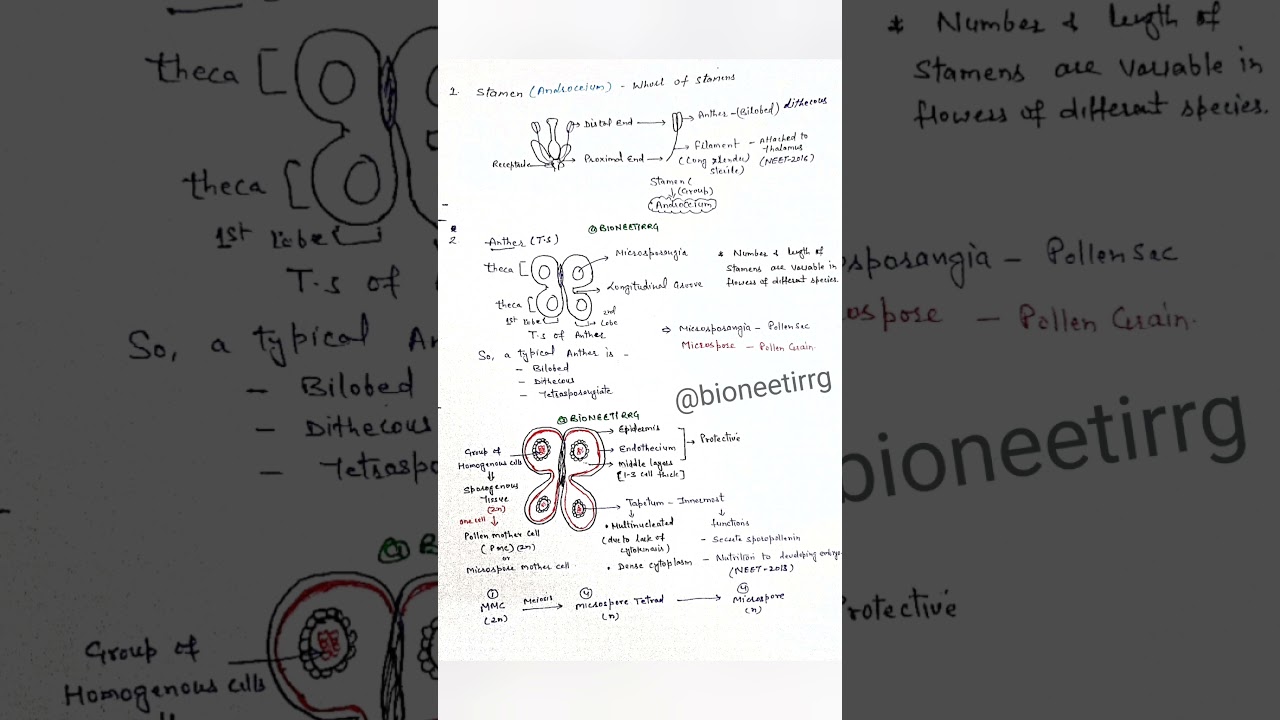 NEET Biology PYQ + Analysis + Handwritten Notes @bioneetirrg