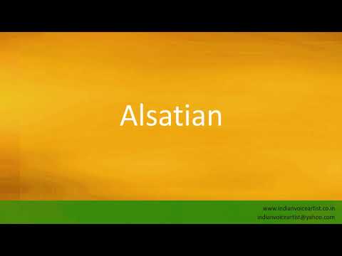 How to pronounce "Alsatian".