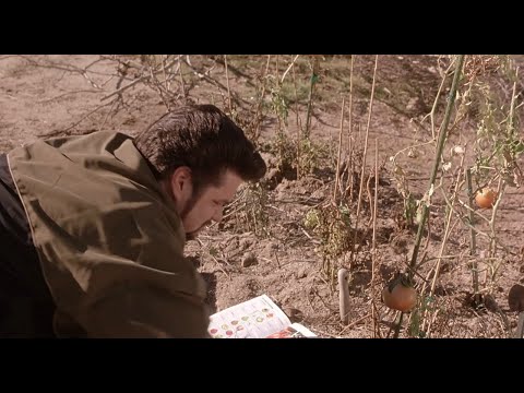 Gun Shy (2000) - Tomatoes