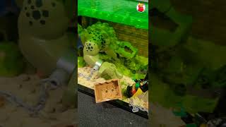 LEGO Batman vs Killer Croc |Bricktopia Heythuysen 2024