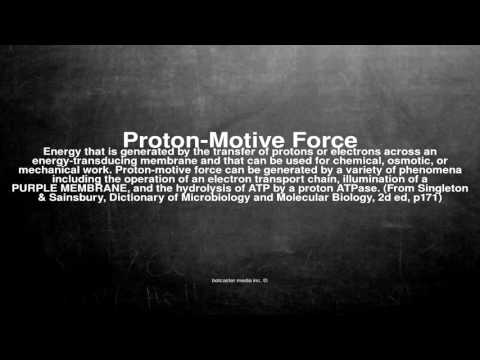Medical vocabulary: What does Proton-Motive Force mean