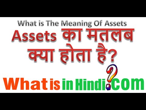 What is the meaning of Assets in Hindi | Assets ka matlab kya hota hai
