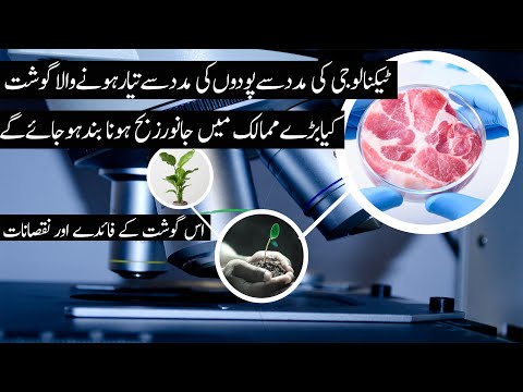 cultured meat innovation and technology in hindi | urdu