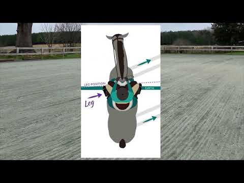 Lateral Movements Explained - Shoulder-In