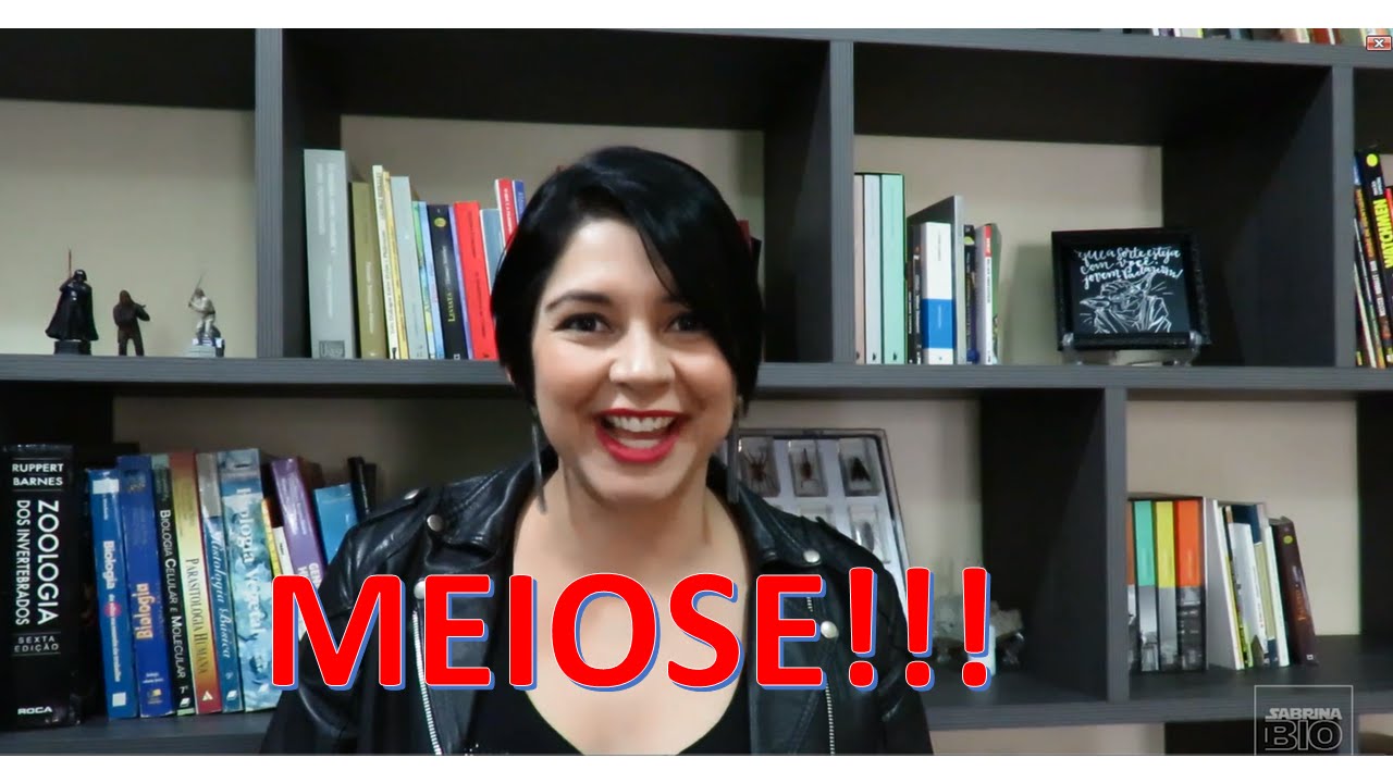 MEIOSE (divisão celular pt.4)