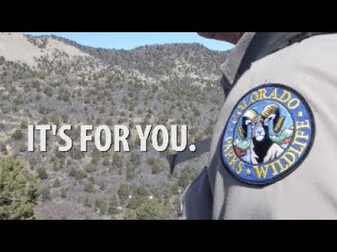 This job isn't for everyone