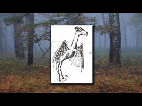 History of a Legend: Mrs. Leeds and The Jersey Devil