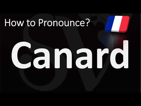 How to Pronounce Canard? | How to Say DUCK in French?