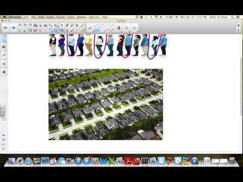 Statistics: Census, Systematic Sampling, & Cluster Sampling
