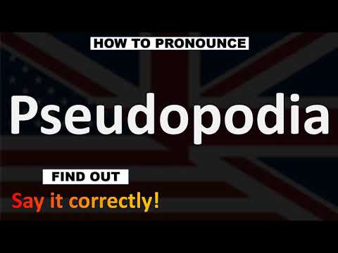 How to Pronounce PSEUDOPODIA