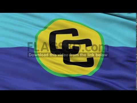 Close Up Waving Flag of Caricom