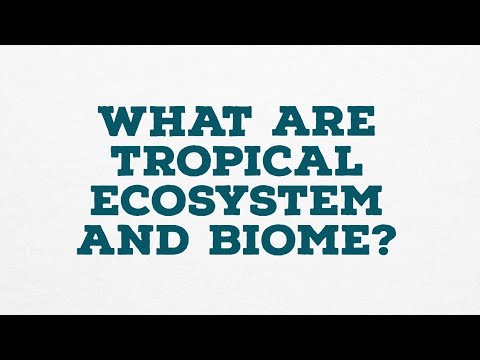 What are Tropical Ecosystem and Biome?