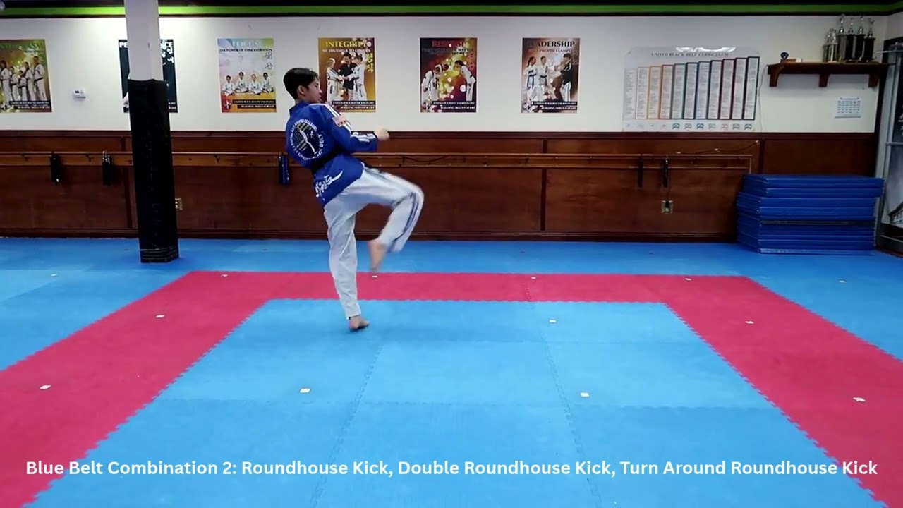 Blue Kicking Combos