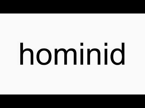 How to pronounce hominid