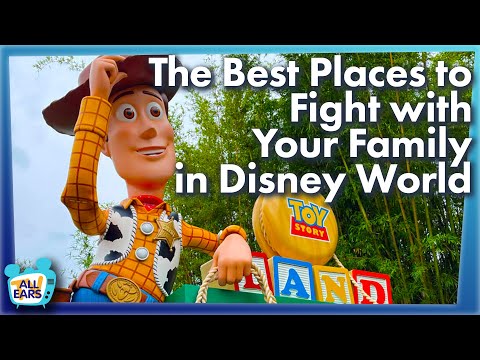 The Best Places to Fight with Your Family in Disney World