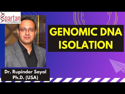 Isolation of Genomic DNA
