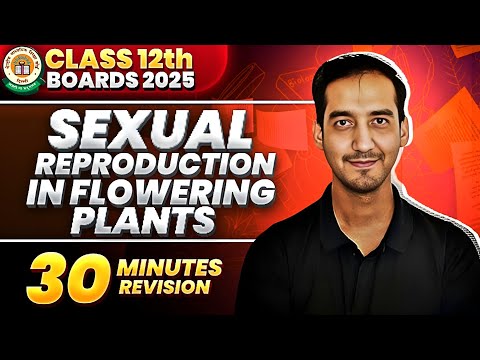 Sexual Reproduction in Flowering plants |Class 12| Quick Revision in 30 Minutes |CBSE|Sourabh Raina