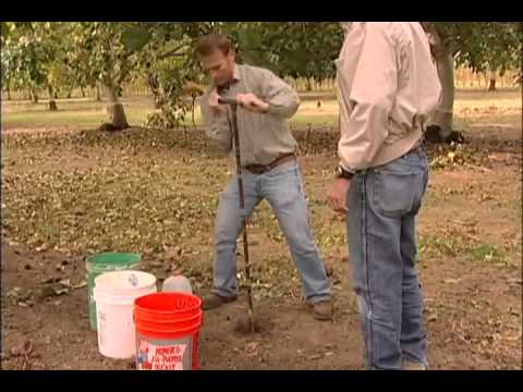 Taking Soil Samples Part 3: Taking Samples in the Orchard