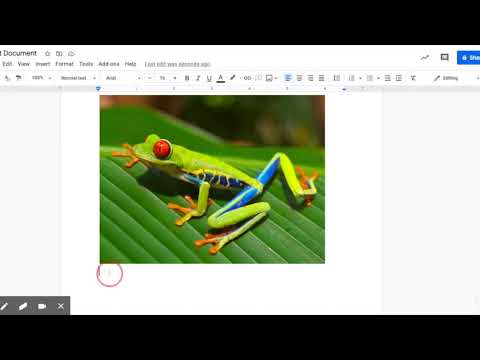 TTT: Using the Dictionary & Thesaurus in Google Drive
