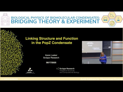 Linking Structure and Function in the Pop Condensate | Keren Lasker (Scripps Institute)