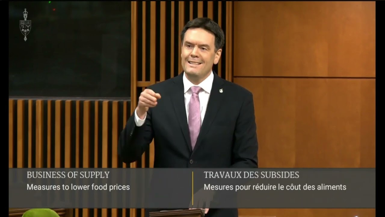 Introducing NDP Motion to Lower Grocery Prices