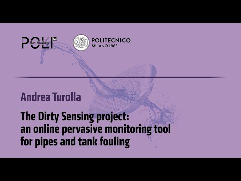 The Dirty Sensins project: an online pervasive monitoring tool for pipes and tank fouling (Turolla)