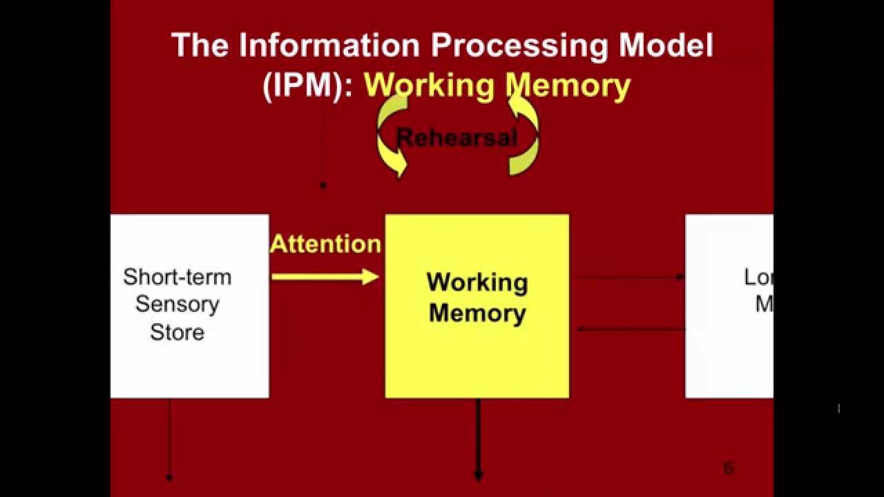 EDUC 140 Unit 1 Learning & Memory: Information Processing Theory