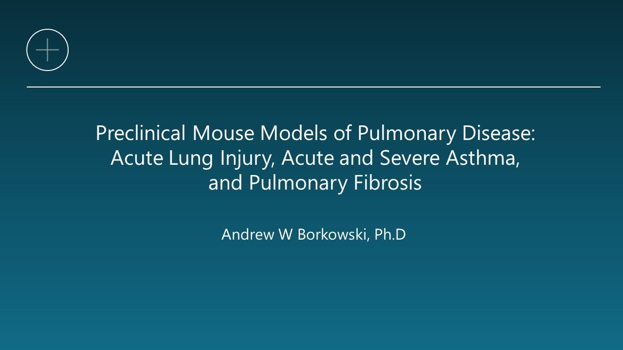 Preclinical Mouse Models of Pulmonary Disease