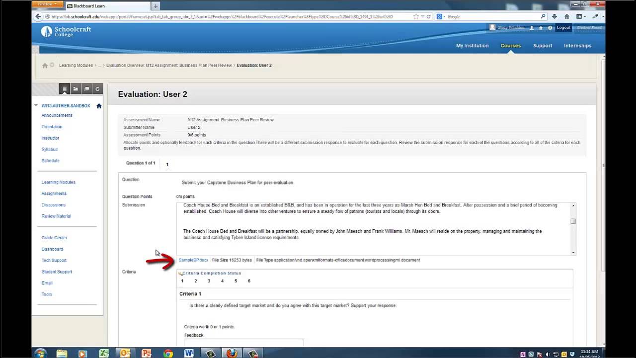 Self and Peer Assessment: Peer Evaluations