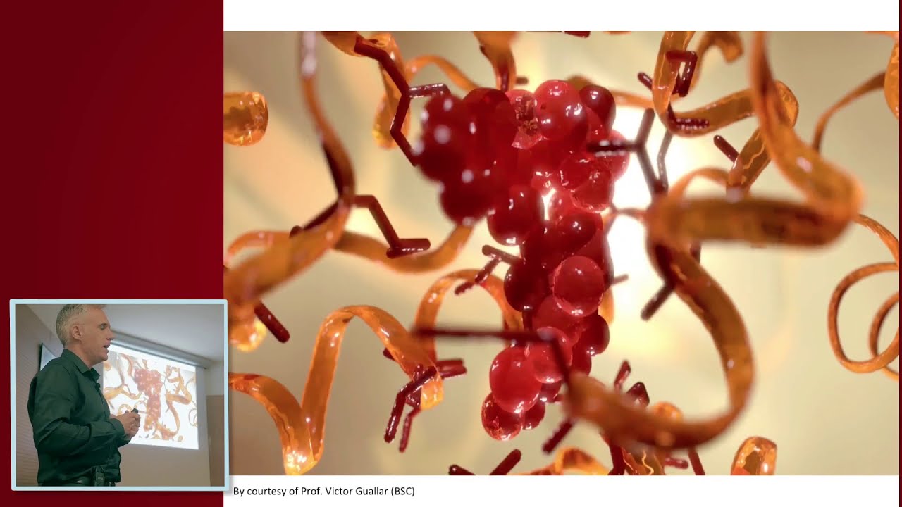 Nobel Prize in Chemistry 2018. The revolution of directed enzyme evolution | Colloquia ICMM 2018