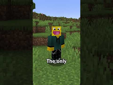 Shields are Finally Fixed in Minecraft