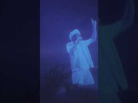 majestic tyler (flash warning) #tylerthecreator #edit #chromakopia #template #capcut
