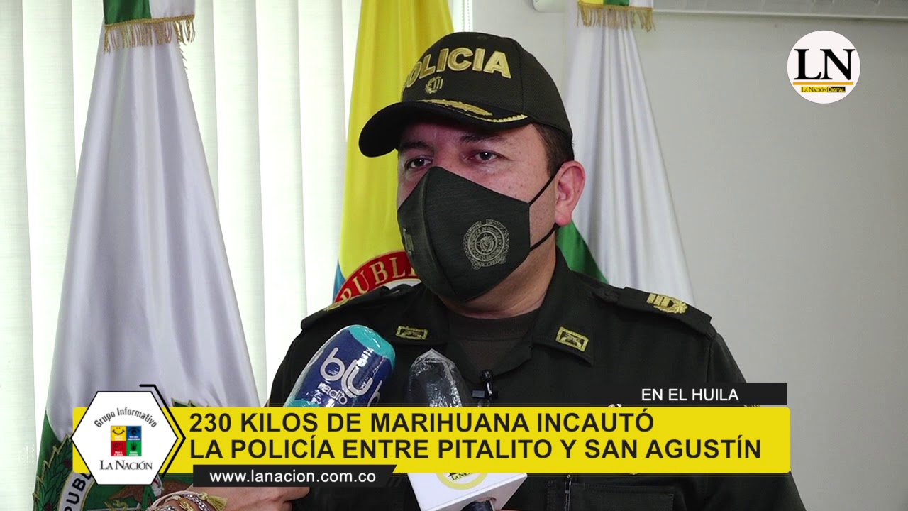 Coronavirus tiene en jaque a narcotraficantes,230 kilos de marihuana incautó la policía en el huila