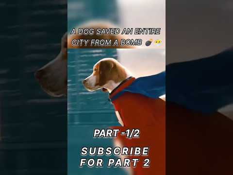 Others dog ???? vs this dog ???? | part -1 #shorts #ytshorts #viralvideo #dog #movie