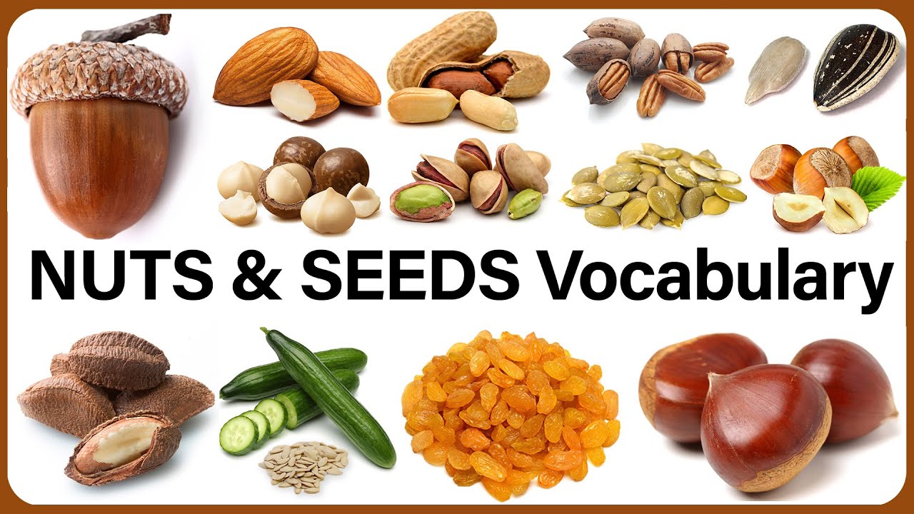 NUTS & SEEDS Vocabulary in English with Pictures
