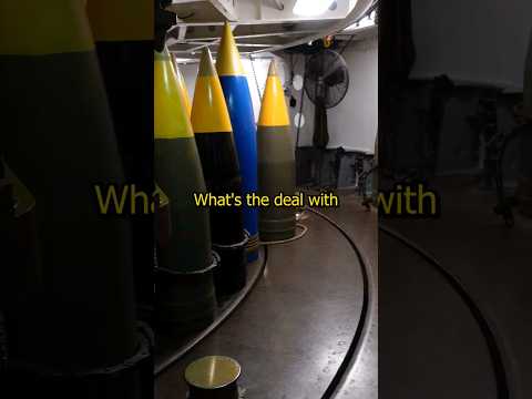 What Do The Colors of the Shells Indicate?